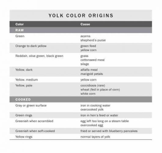 How Are Eggs Graded - Grit